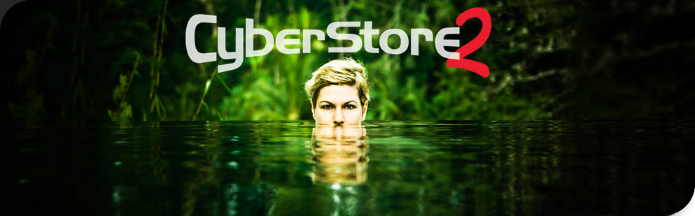 The e-Commerce System for SYSPRO ERP | CyberStore 2 for SYSPRO | Home